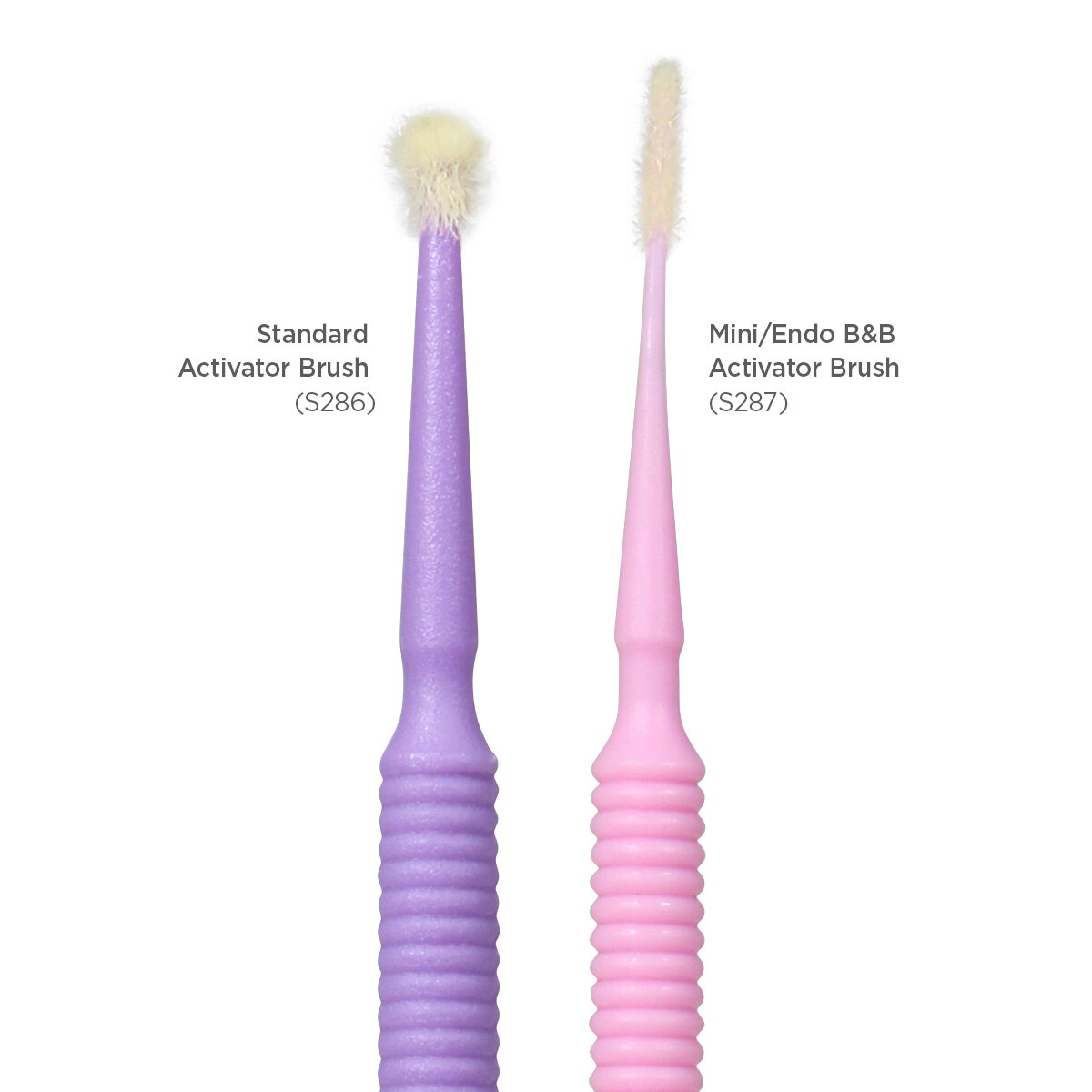 Brush&Bond® Kit w/ Mini/Endo Activator Brushes